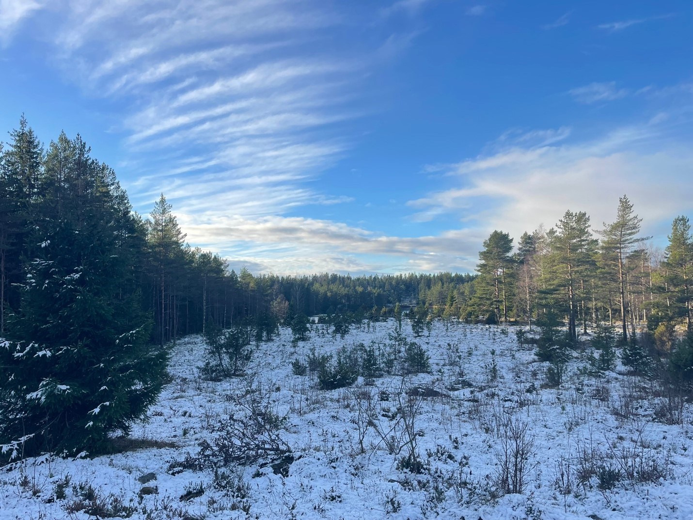 Lukas: Nature spots around Örebro - Örebro University